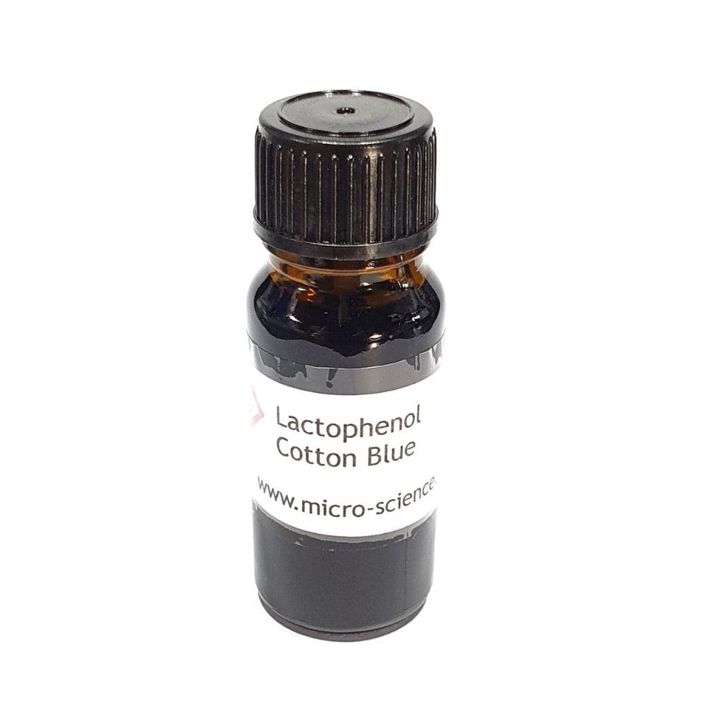 Lactophenol Cotton Blue – 10mL