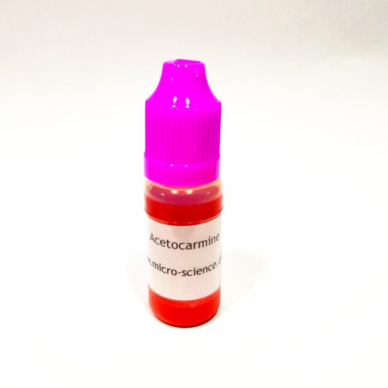 Acetocarmine (10mL)